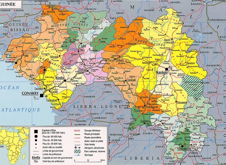 Symboles – PRIMATURE